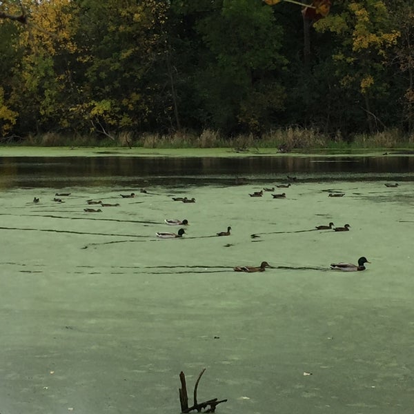 Photos at Rosland Park - Edina, MN