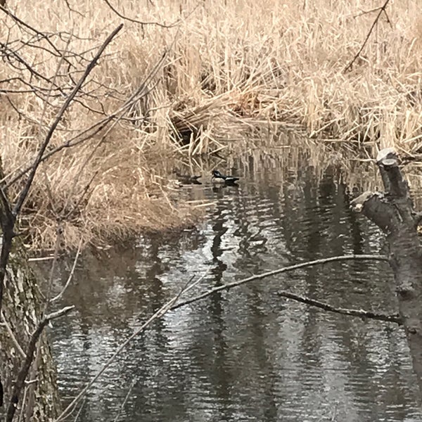 Photos at Rosland Park - Edina, MN