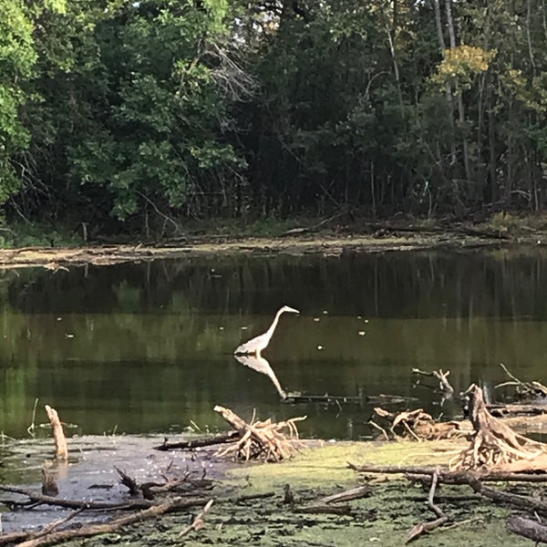 Photos at Rosland Park - Edina, MN