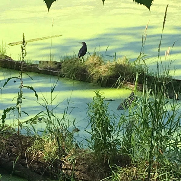 Photos at Rosland Park - Edina, MN