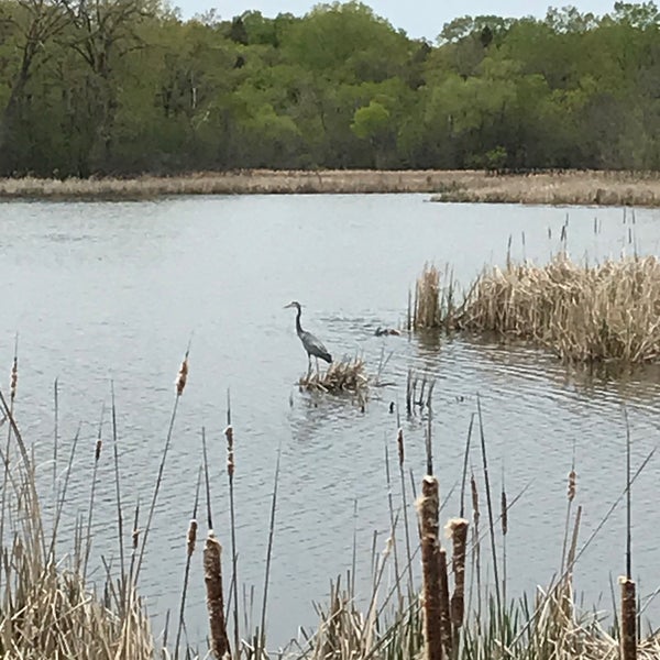 Photos at Rosland Park - Edina, MN
