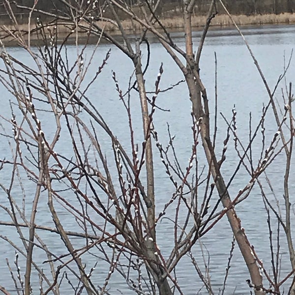 Photos at Rosland Park - Edina, MN