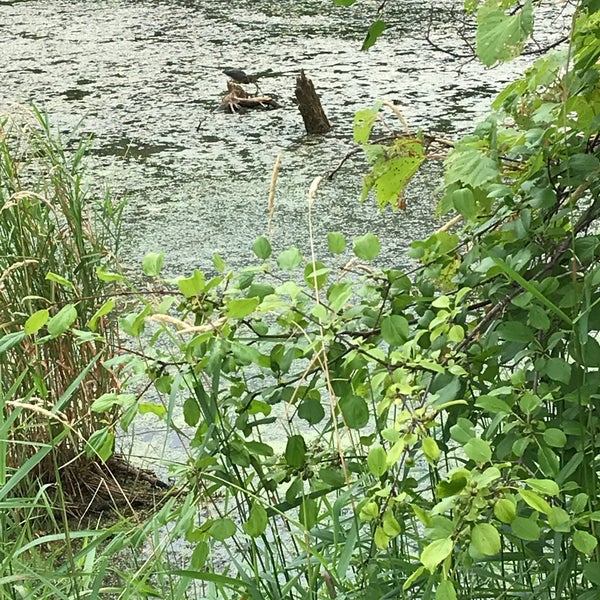 Photos at Rosland Park - Edina, MN