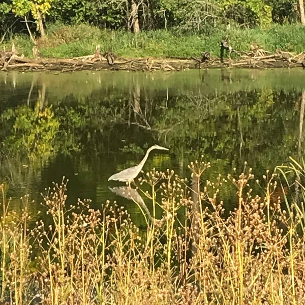 Rosland Park - Edina, MN