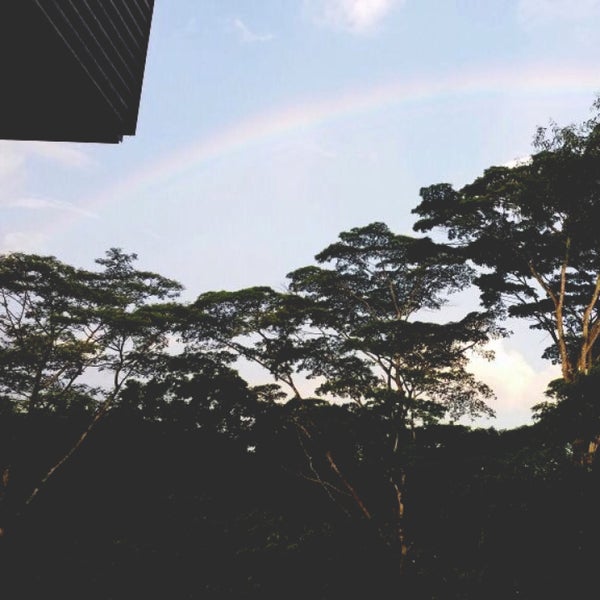 Photos at Sungei Gedong Camp - West Region - 28 tips