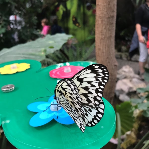 Photos at Vlindertuin - Zoo Exhibit in Antwerpen