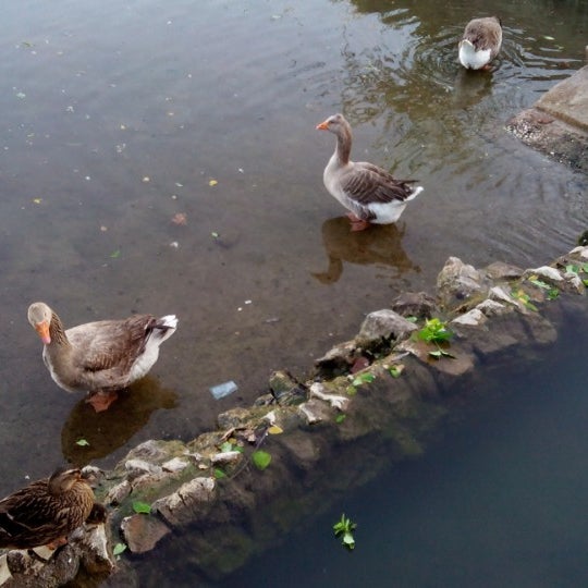 Photos at Parque Urbano de Via Rara - Viarara