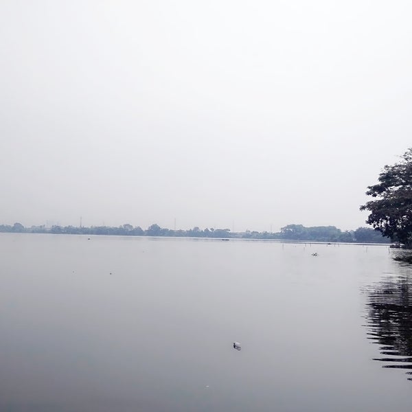 Situ Cipondoh - Lake