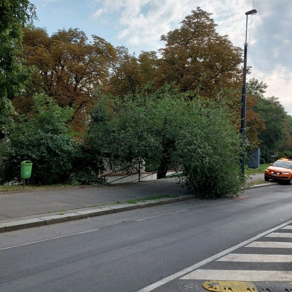 Flora (tram) - Praha 3 - Vinohradská