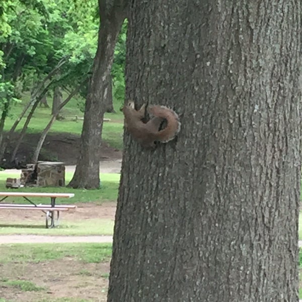 Photos at Sooner Park - Park in Bartlesville