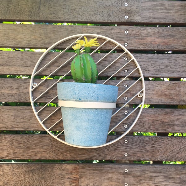 Eat A Scroll - Bakery