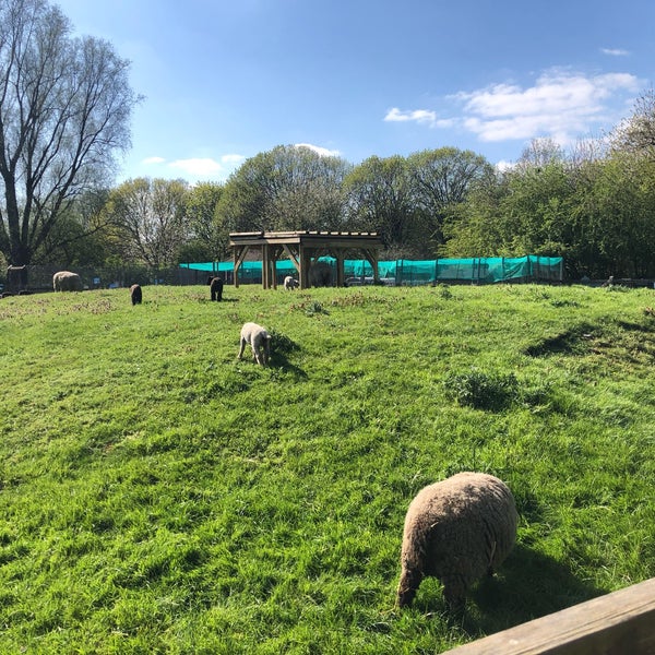 Newham City Farm - Farm in London