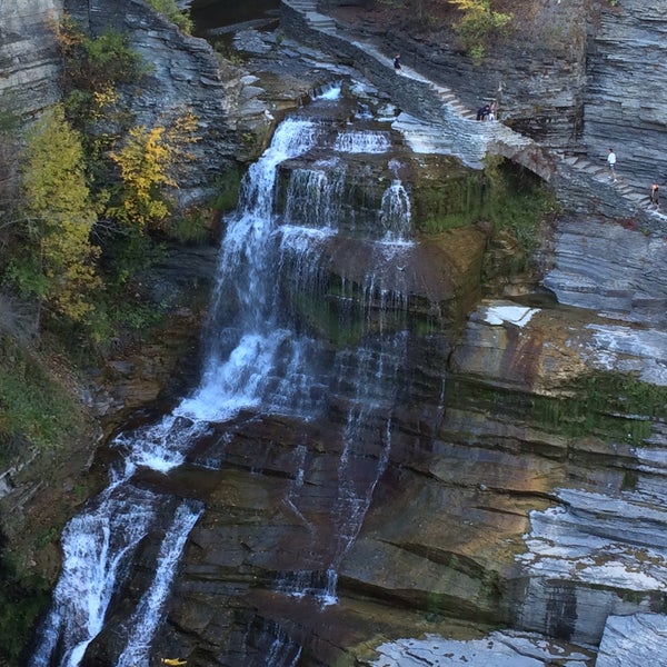 Tremont State Park - 10 visitors