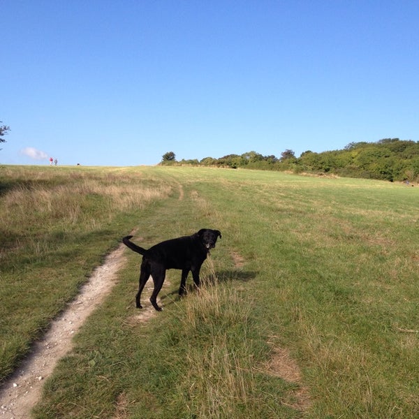 Highdown Hill - Scenic Lookout in Worthing
