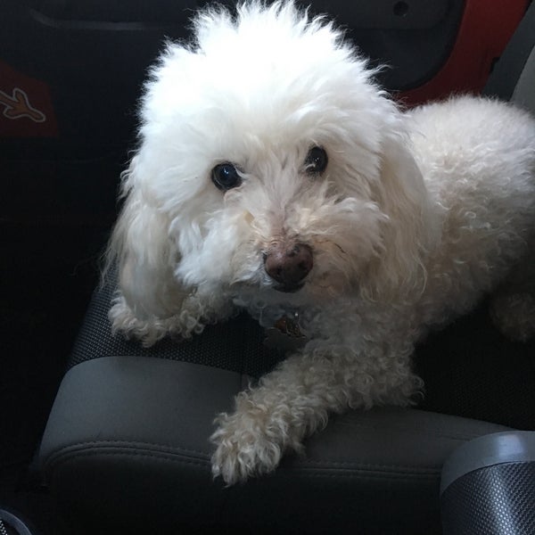 PetSmart - Pet Supplies Store