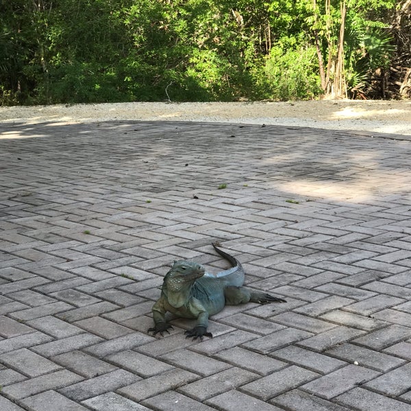Queen Elizabeth II Botanic Park - Garden in Grand Cayman