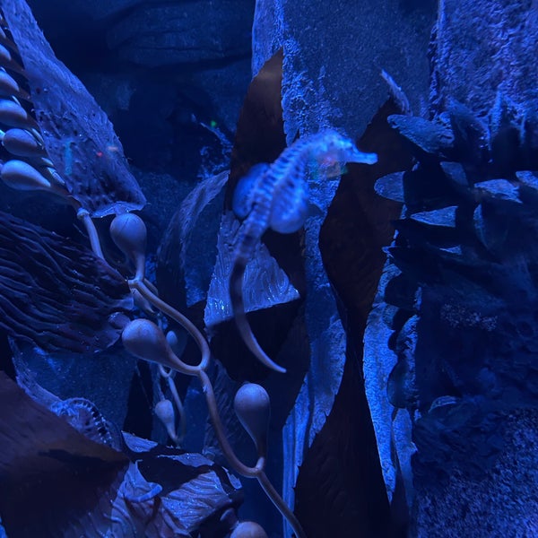 Downtown Aquarium - Downtown Houston - 134 tips from 9219 visitors