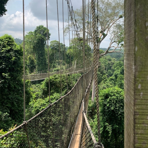 Kakum National Park Canopy Walk - 5 tips from 134 visitors