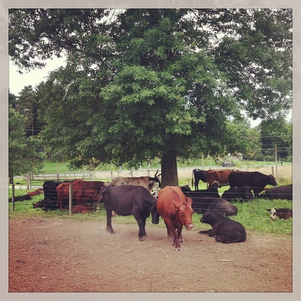 Photos at Duma Meats - Mogadore, OH