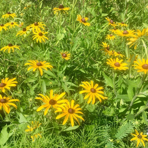 Photos at Lauritzen Gardens - Omaha's Botanical Center - Southeast ...