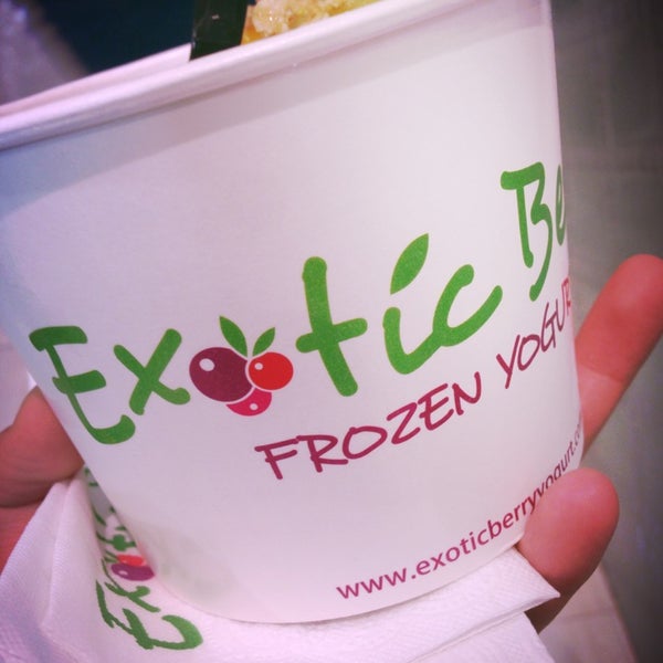 Exotic Berry Frozen Yogurt - Frozen Yogurt Shop