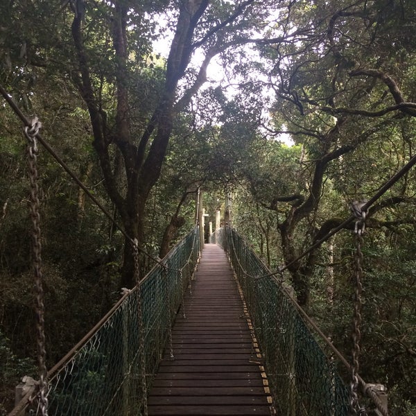 Photos at O'Reilly's Tree Top Walk - Hiking Trail
