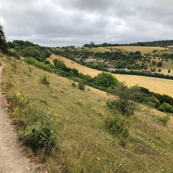 Aston Rowant Nature Reserve