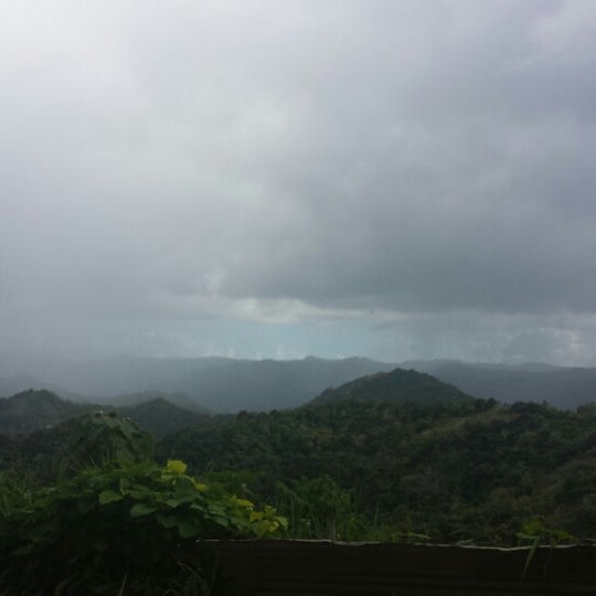 Municipio de Comerio - Comerío, Comerío Municipio