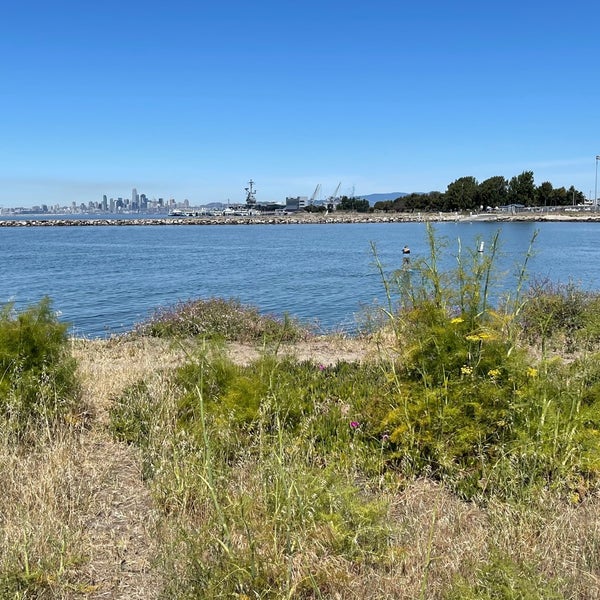 Ballena Bay Marina - Harbor or Marina in West End