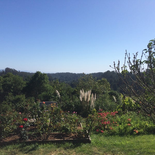 Aptos - Neighborhood in Aptos