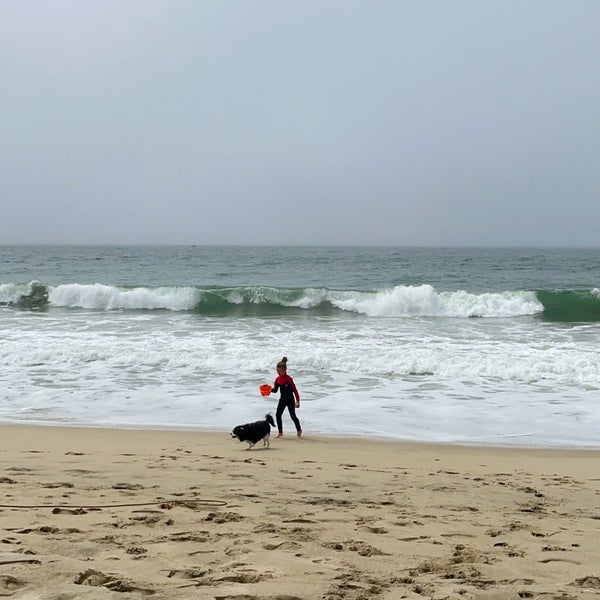 Poplar State Beach - 10 tips from 2228 visitors