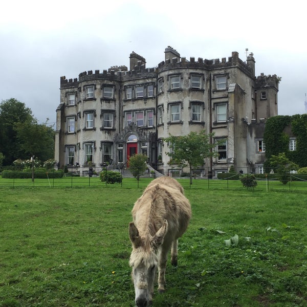 Ballyseede Castle Hotel - 5 tips from 236 visitors