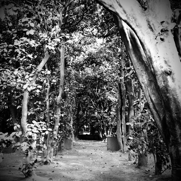 Mosteiro de Landim - Spiritual Center