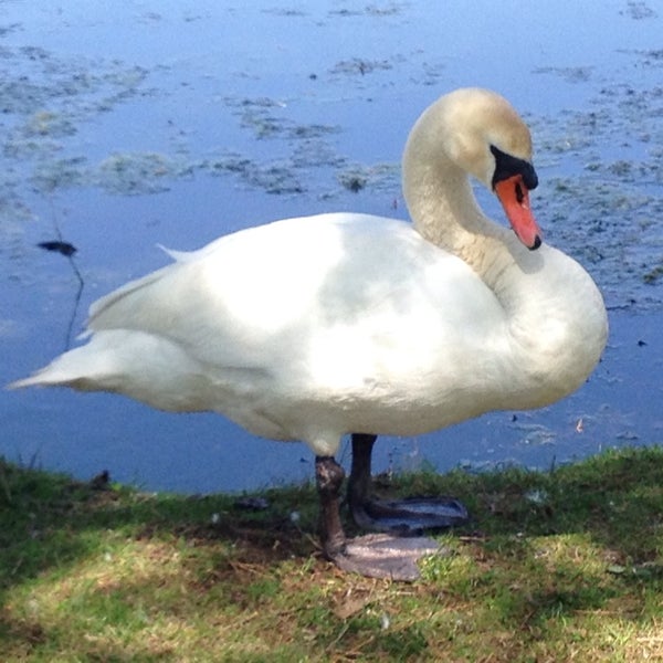 Hatters Park - 1 tip from 193 visitors