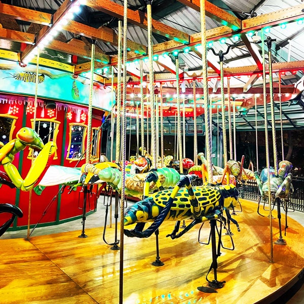 Bug Carousel - Amusement Park in Bronx Park