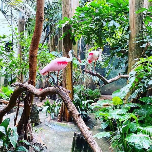 Photos at Aquatic Bird House - Zoo Exhibit