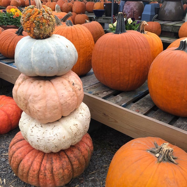 Nalls Produce - 11 tips from 327 visitors