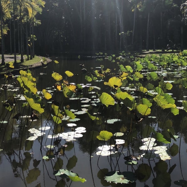 Pamplemousses - Pamplemousses, Pamplemousses District