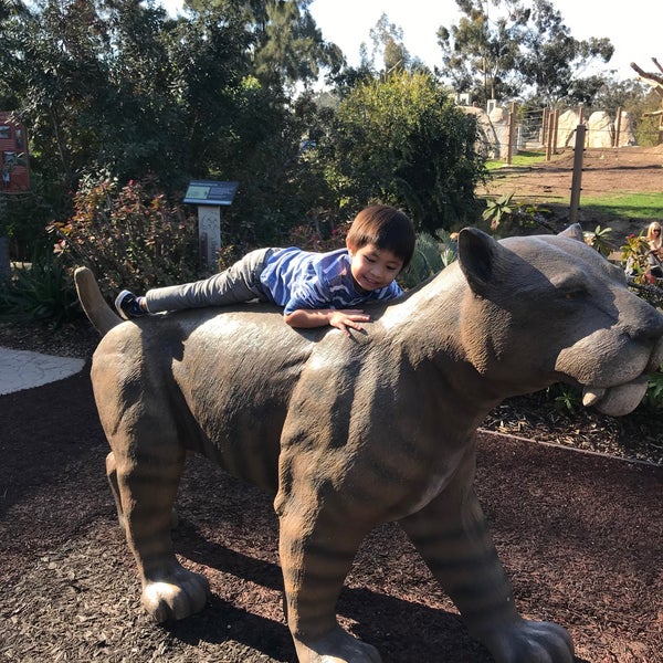 Sabertooth Grill - Mexican Restaurant in Balboa Park