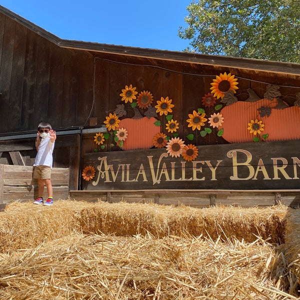 Avila Valley Barn - Farm