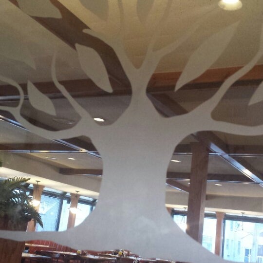 Photos at Family Tree Restaurant - Greek Restaurant