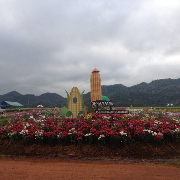 ไร่สุวรรณฯ (Suwan Farm) - 298 Moo 1, Mittraphap Rd