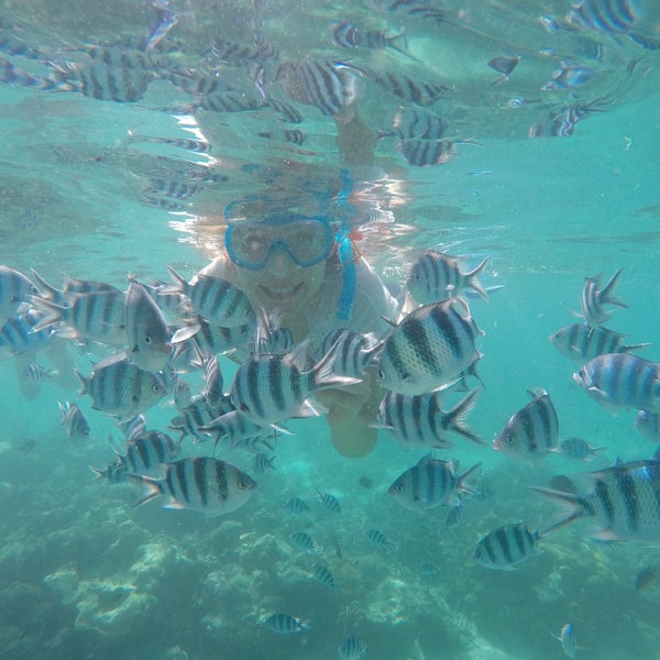 Skeleton Wreck - Dive Spot in Coron