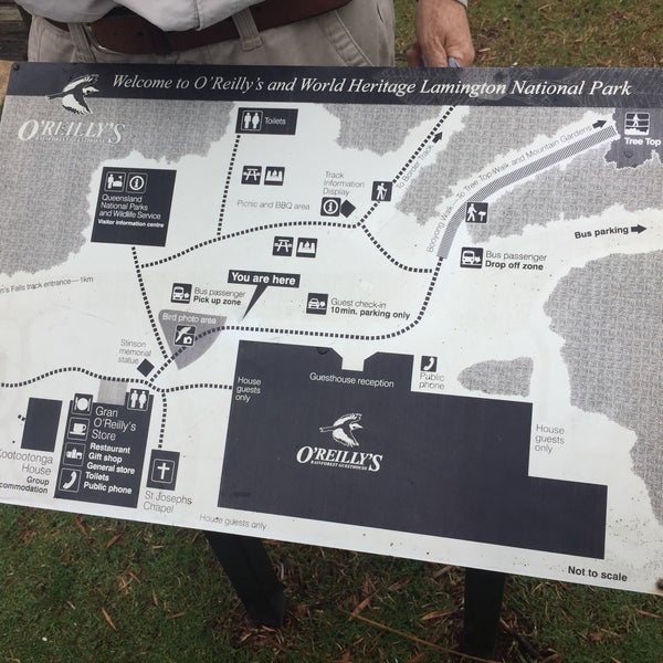 Photos at O'Reilly's Tree Top Walk - Hiking Trail