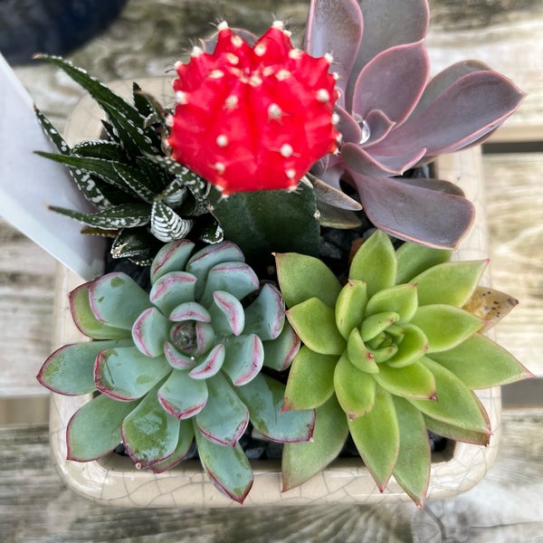 Briggs Flowers North Attleboro Ma | Best Flower Site