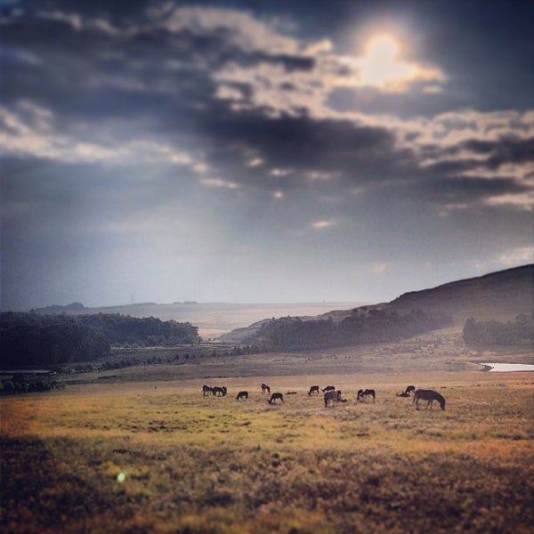 Dullstroom - Town in Dullstroom