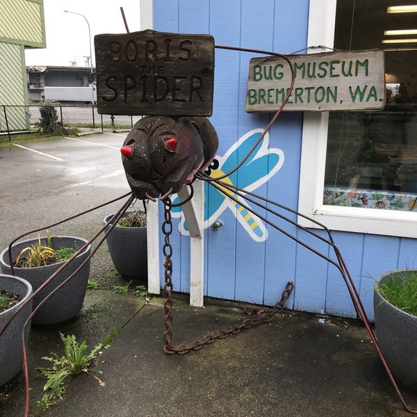 Bug Museum - West Bremerton - 4 tips from 186 visitors