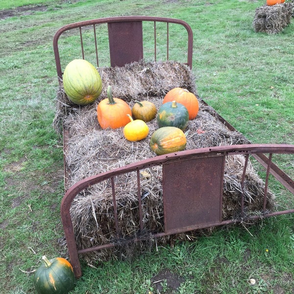 Jim Dandy Farm Market - 2 tips