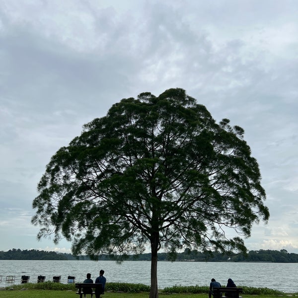 Upper Seletar Reservoir Park - Central Catchment Nature Reserve - 14 tips