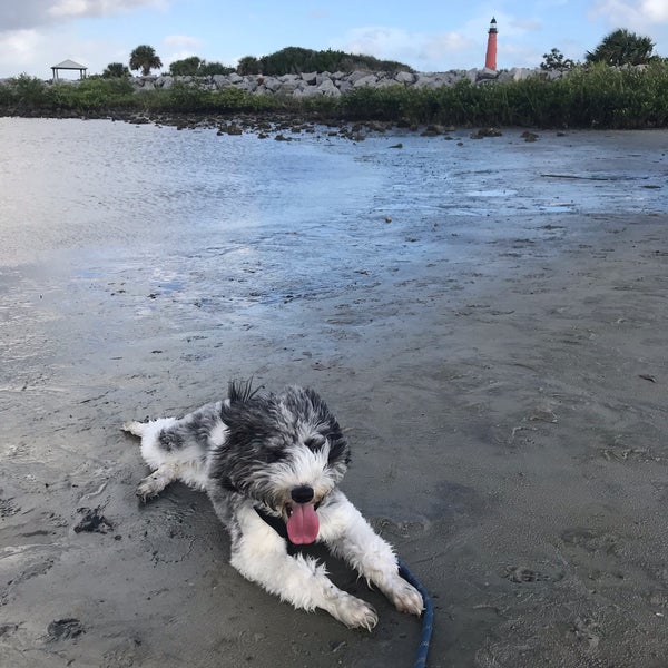 Are Dogs Allowed At Lighthouse Park